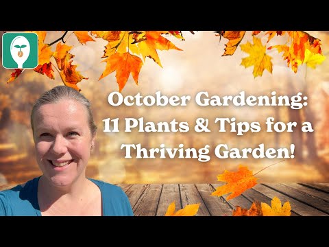 October Gardening: 11 Plants & Tips for a Thriving Fall Garden – From ...