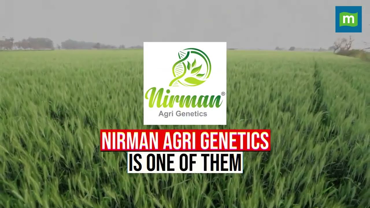 Know all about Nirman Agri Genetics and its business as well near the IPO.