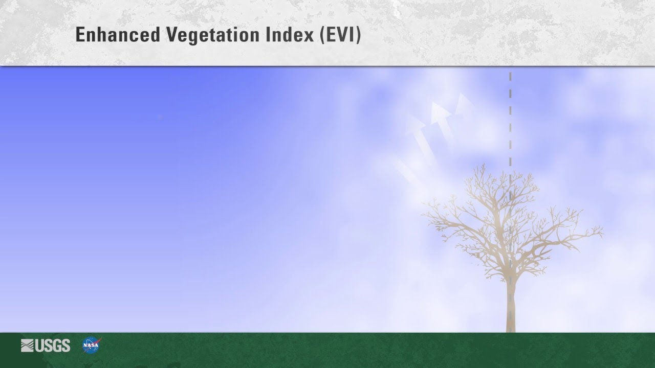 Getting Started with MODIS Version 6 Vegetation Indices Data Part 2