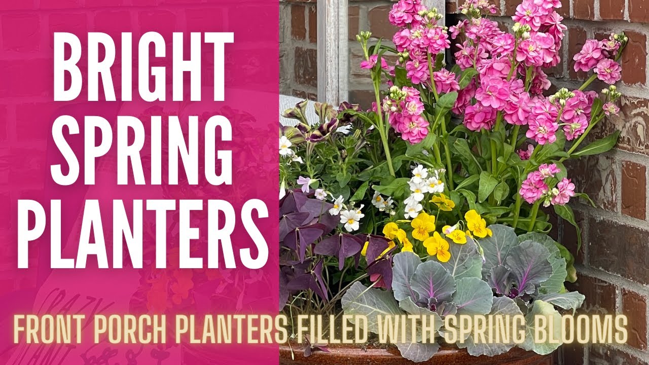 Bright Spring Planters 🌷 || Spring Containers || Spring Containers Ideas || How To Plant A Container