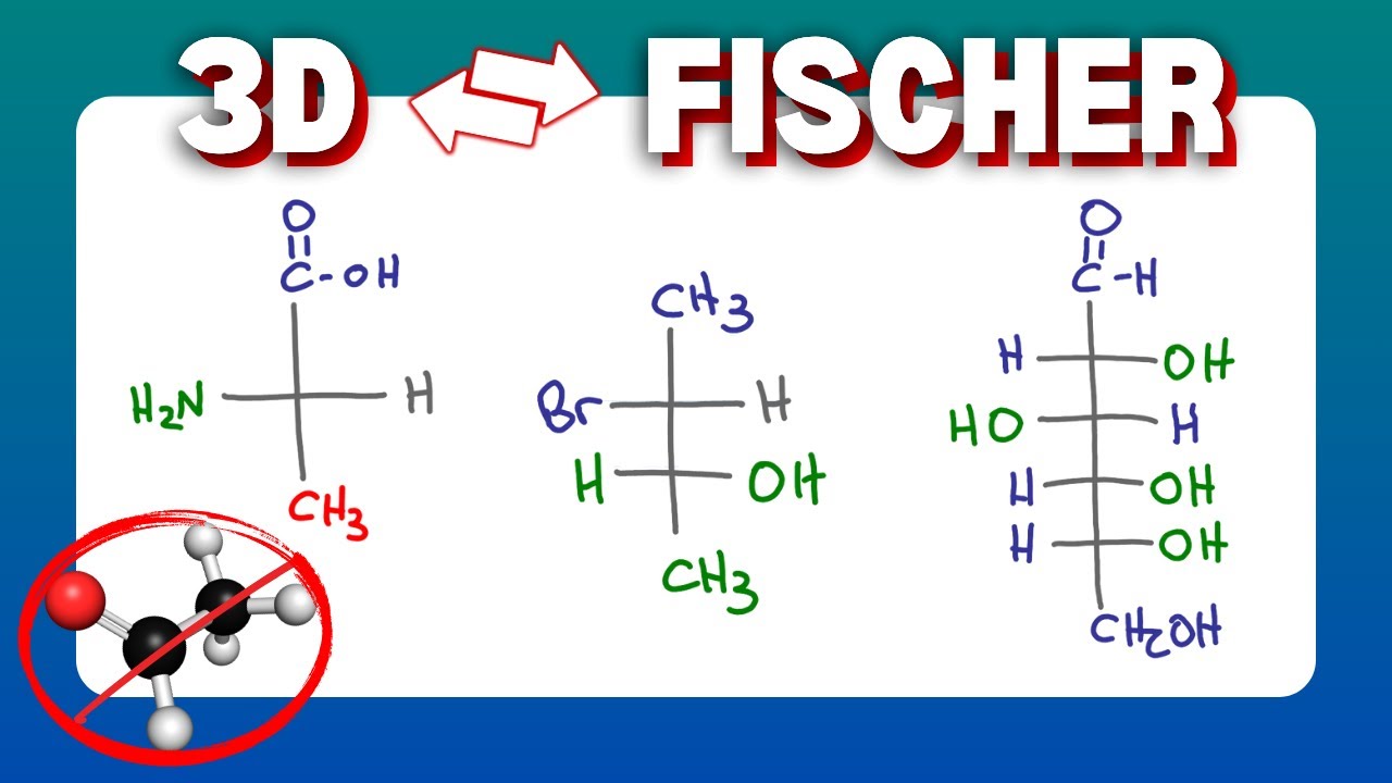 How to Draw Fischer Projections