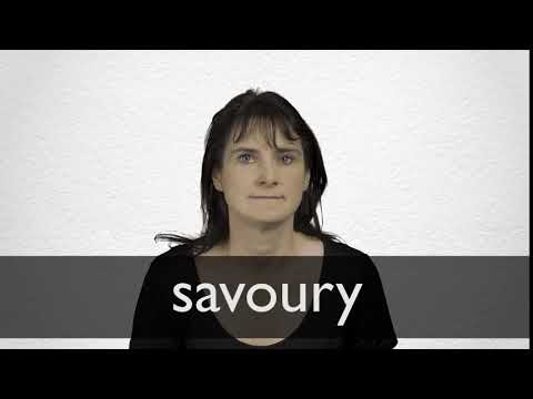 SAVOURY definition in American English | Collins English Dictionary