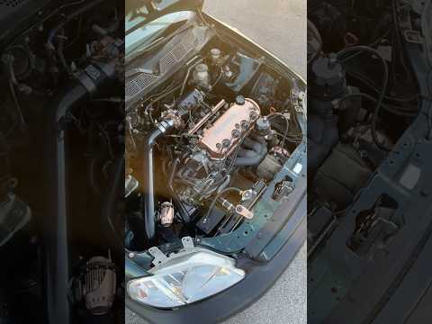Trump Approves Turbo D16 Honda Civic