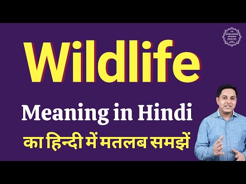 Wildlife meaning in Hindi | Wildlife ka kya matlab hota hai | daily use English words
