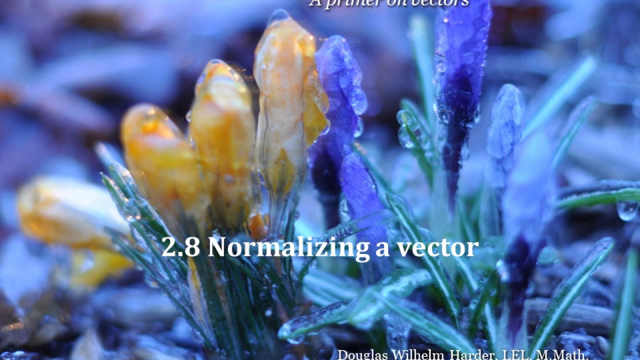 2.8 Normalizing a vector