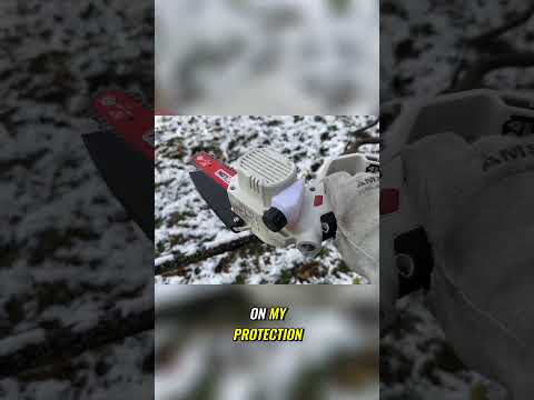 How to Safely Remove Small Tree Stumps Complete Guide – Peter von Panda