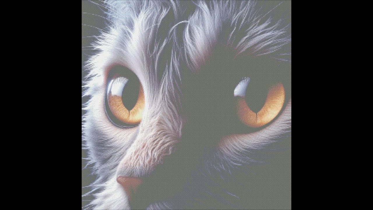 FELINE LOOK. Pdf cross stitch pattern. Dmc Threads