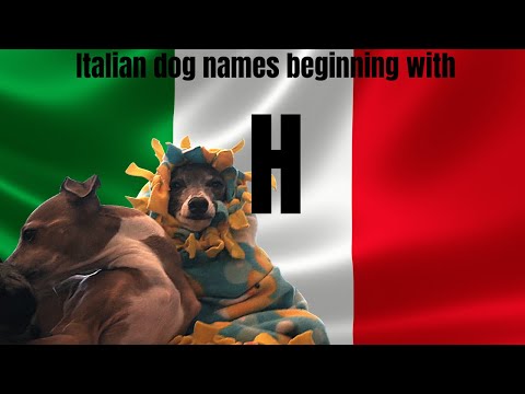 italian dog names beginning with H- jennamarbles dogs