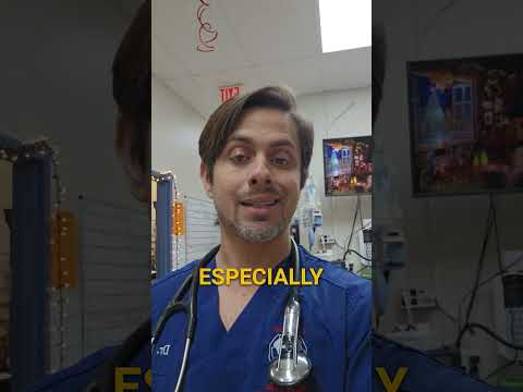Topical Medications in Cats | Vet Tips