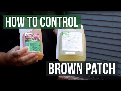 Systems Propiconazole 143 Select Honor Guard Broad Spectrum Fungicide ...