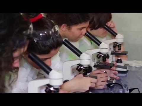 Girl Scouts: Innovating for the Future