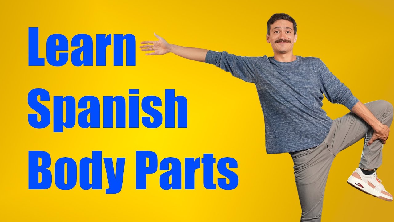 Easy Spanish Stretches for Neck, Shoulders, and Back | Learn Body Parts While You Move