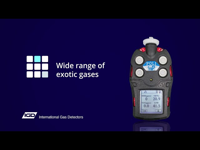 Gas Detectors - Watch Gas Air Watch Flexible Gas Detection Manufacturer ...