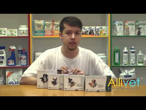 Revolution for Dogs | Allivet Video