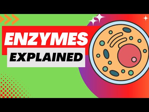ENZYMES EXPLAINED - MECHANISM, ACTIVE SITE, COMPETITIVE VS NON-COMPETITIVE INHIBITION
