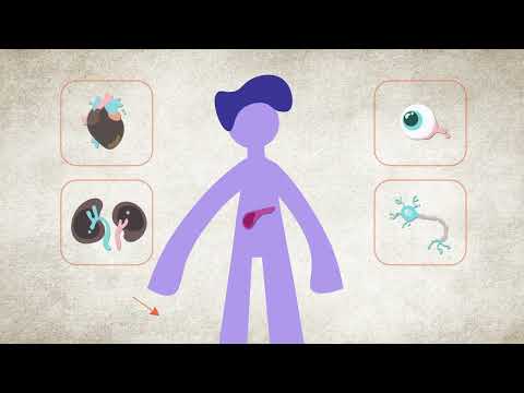 ¿Qué es la diabetes? | La conexión entre la enfermedad renal, la enfermedad cardíaca y la diabetes