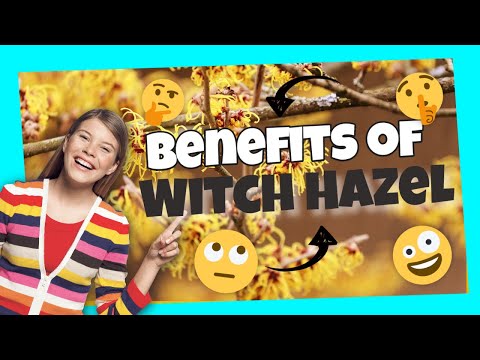 What Are The Health Benefits Of Witch Hazel