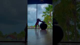 Hopper Ball Zone Watch HD Mp4 Video Download Free