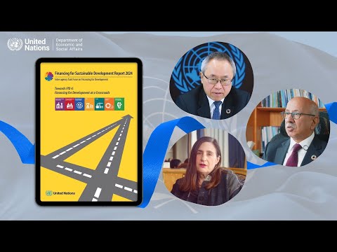 2024 Financing for Sustainable Development Report is Now Available!