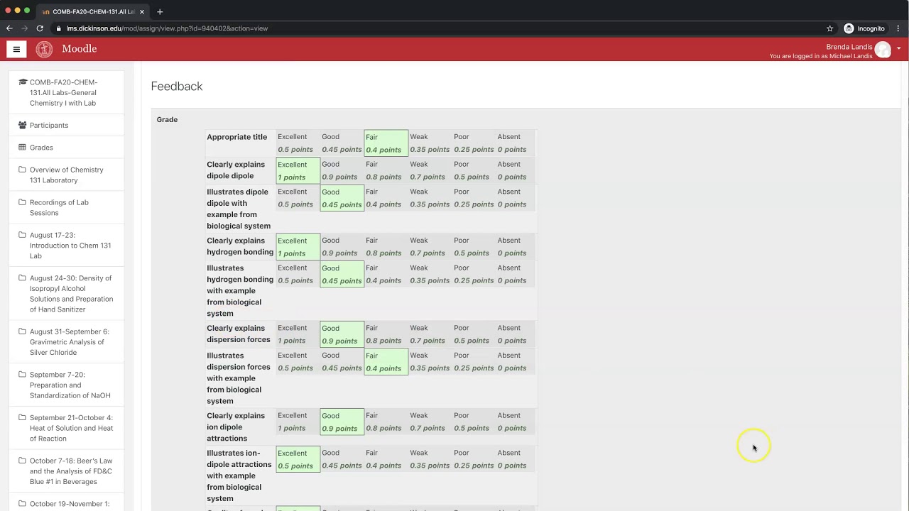 Moodle assignment feedback in student view