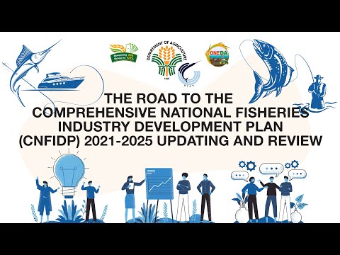 The Road to the CNFIDP 2021-2025 Updating and Review