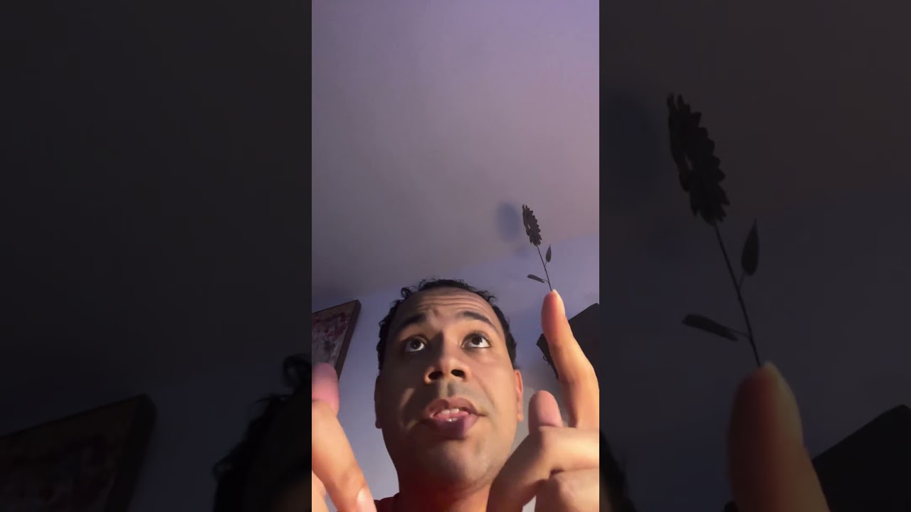 LinkedIn learning 😇 #linkedin #javascript #learnenglish #learning