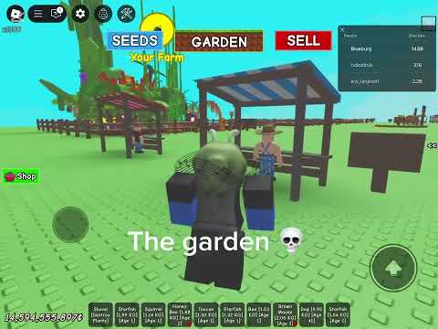 Rate my garden out of ten i won’t be mad