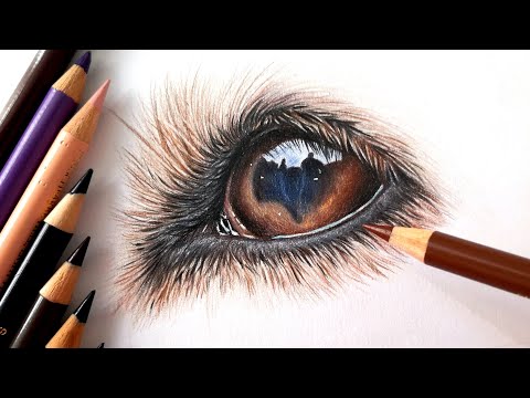 How to draw a dog eye with COLORED PENCIL