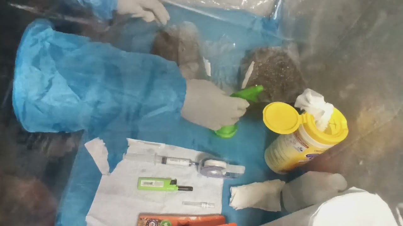 Penis Envy inoculation part 1 first attempt