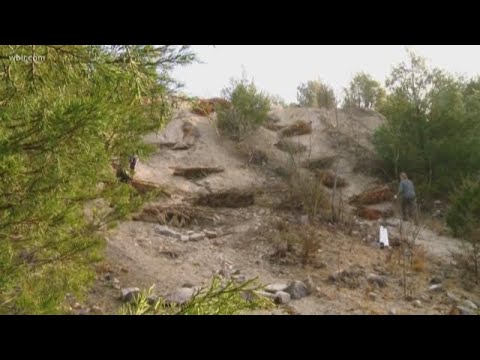 Ijams Nature Center transforms former quarry dump site