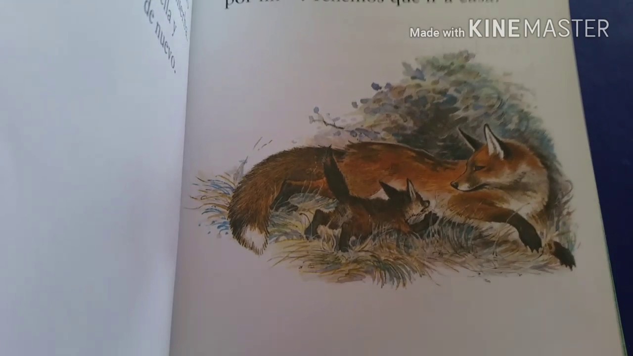 El zorrito perdido, Audiolibro para niños, Irina Korschunow, Salamandra