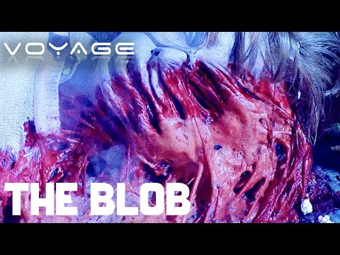 The Blob Goes To The Movies | The Blob | Voyage