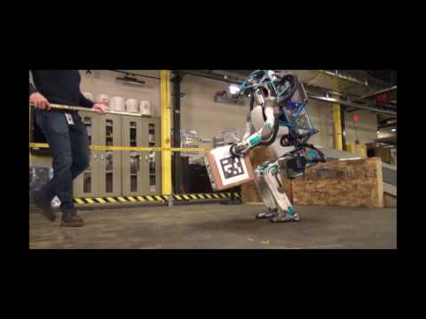 Should robots feel pain? – Form 12D