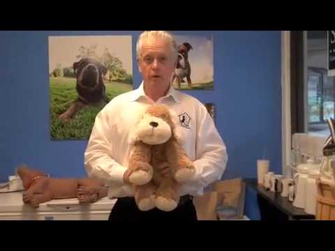 Pets Stay Home :: Heimlich Maneuver For Dogs