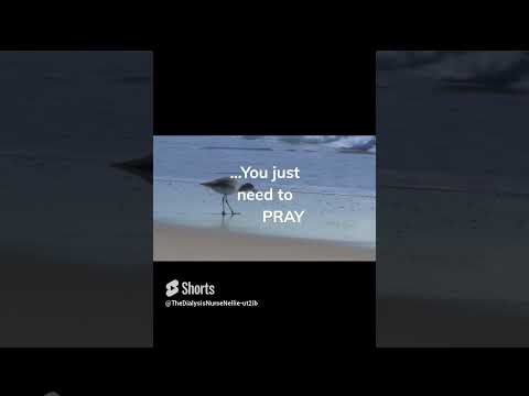 What does God say about birds?