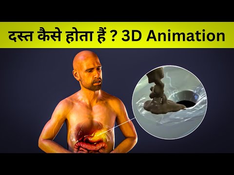 Diarrhea (दस्त) कैसे होता हैं ? Science of diarrhea - 3D Animation