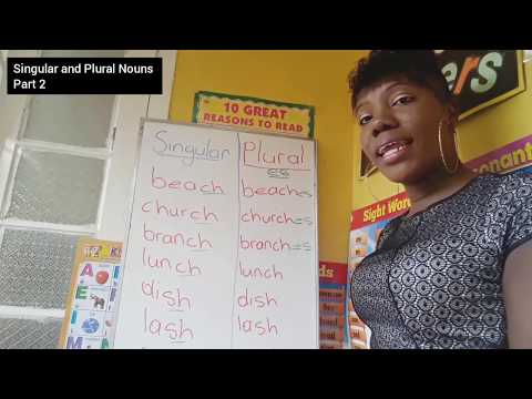 Singular and Plural Nouns Part 2