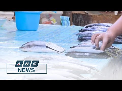 BFAR to import galunggong to address fish supply shortage | Business Nightly