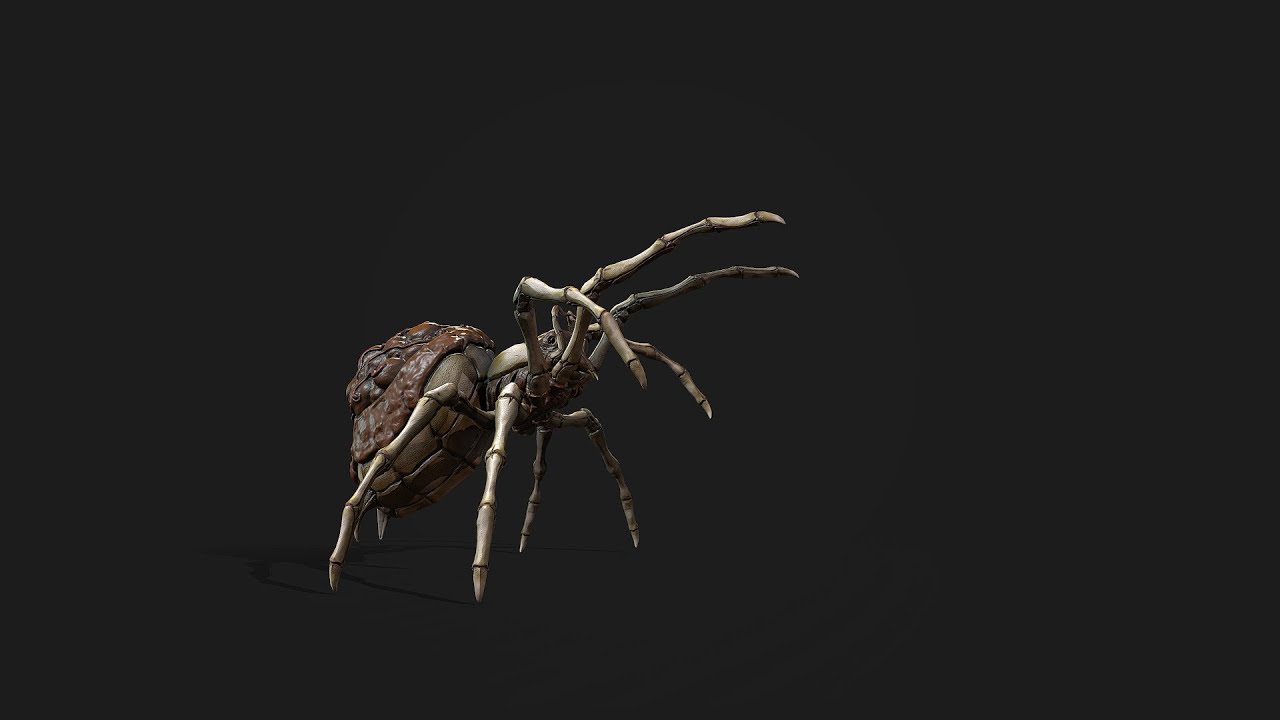 Spider 1