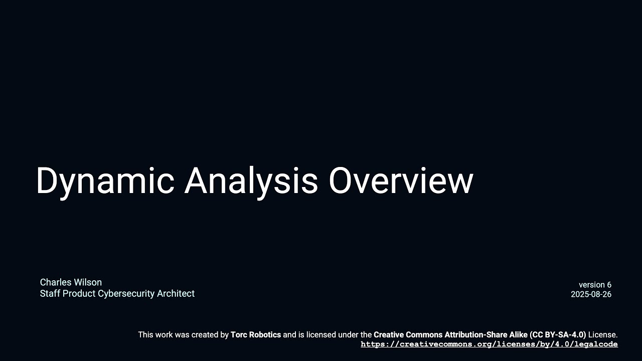 AVCDL dynamic analysis overview