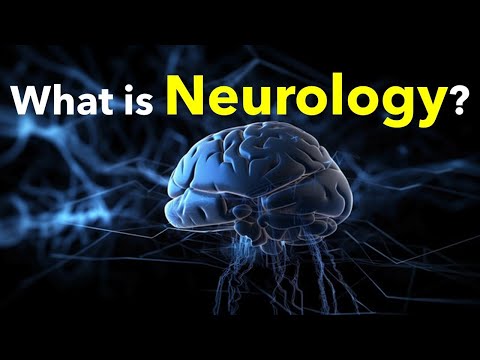 What is neurology?