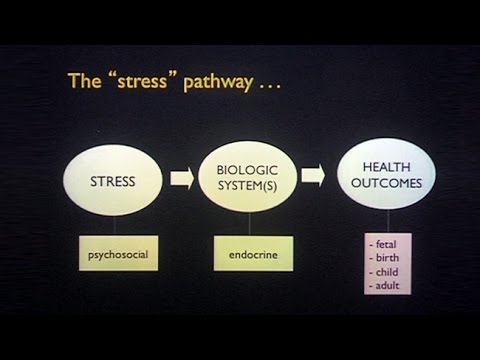 Transgenerational Effects of Maternal Stress and Nutrition