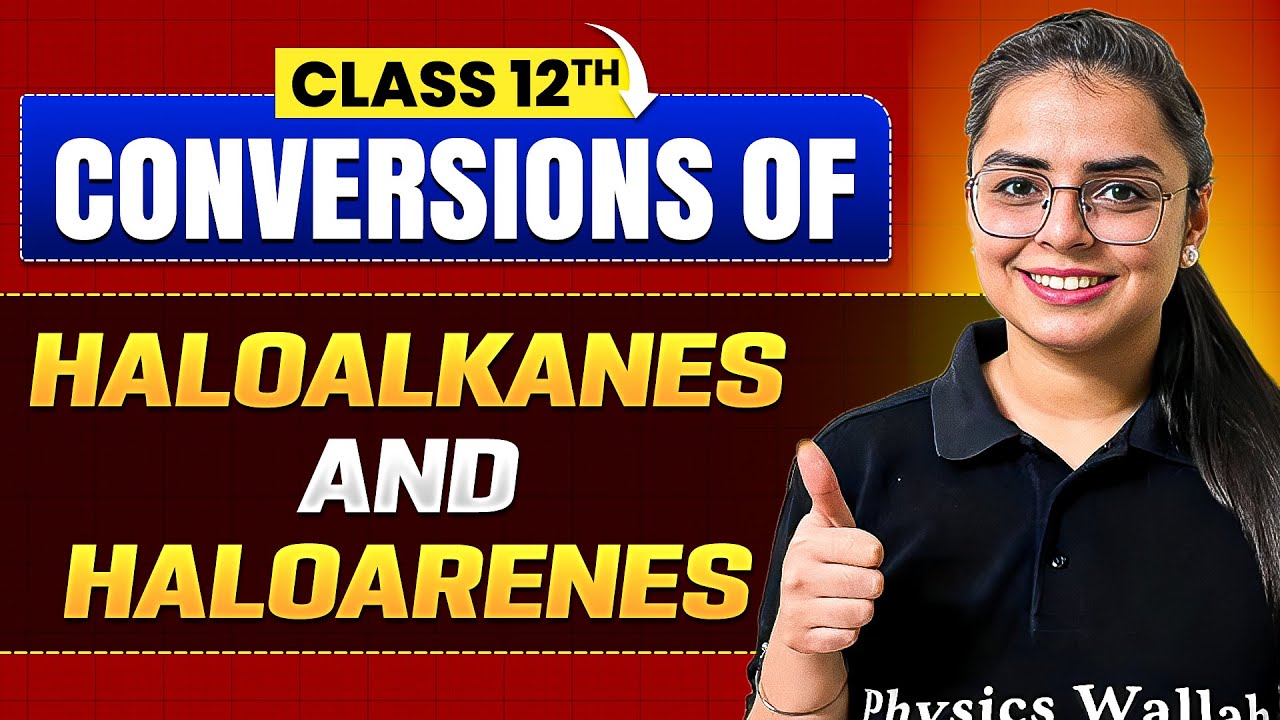 Mastering the Conversion of Haloalkanes and Haloarenes in Organic Chemistry | Galaxy.ai