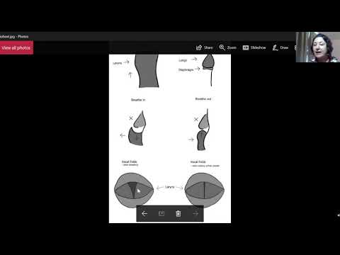 Speech Therapy: Free Exercises for Breathing Strategies for Adults With Voice Disorders