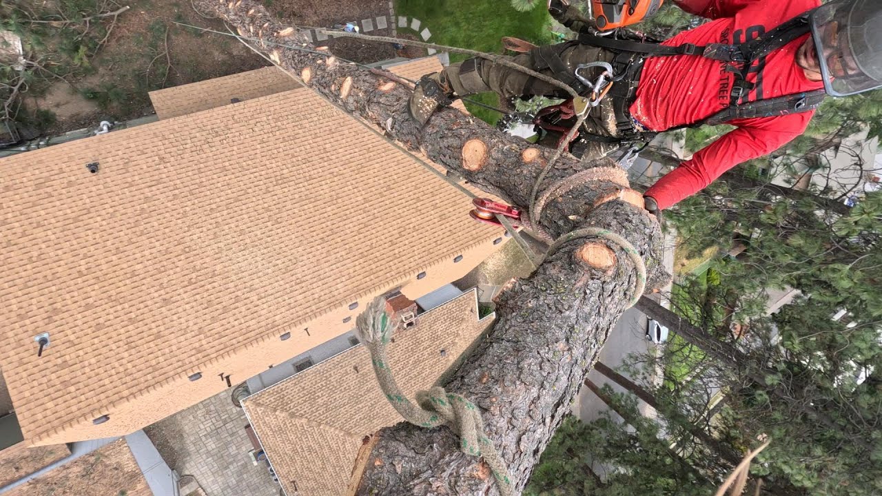 Rigging out a Pine Top
