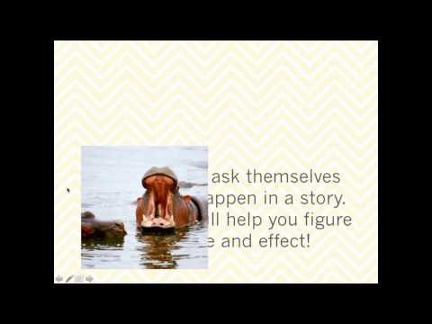 Cause and Effect