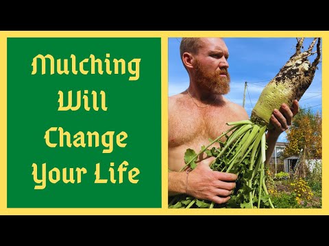 Mulching The Garden For Success - How And Why - Essential For Soil Health