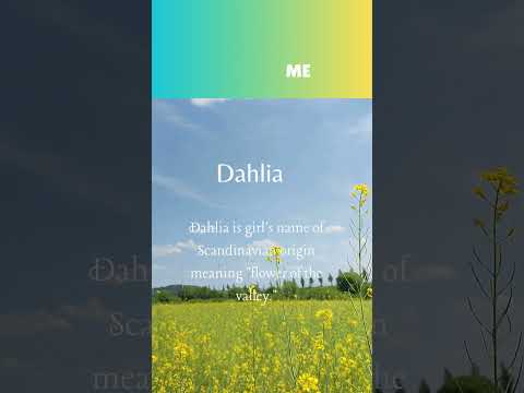 The Fascinating World of Name Meanings