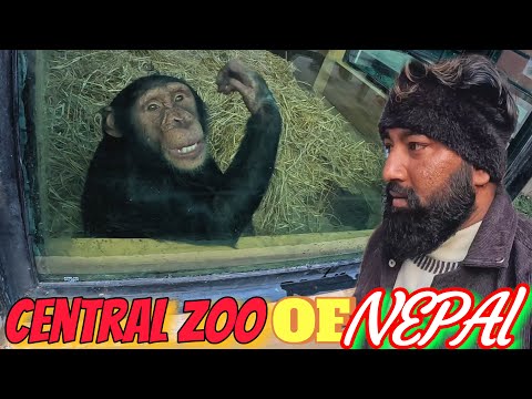 central zoo of kathmandu nepal• jawlakhel zoo park• chidiyakhana tour• nepal zoo park• biggest zoo
