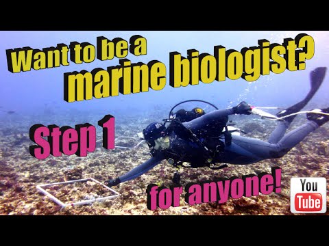 Want to be a marine biologist? Step 1 for anyone
